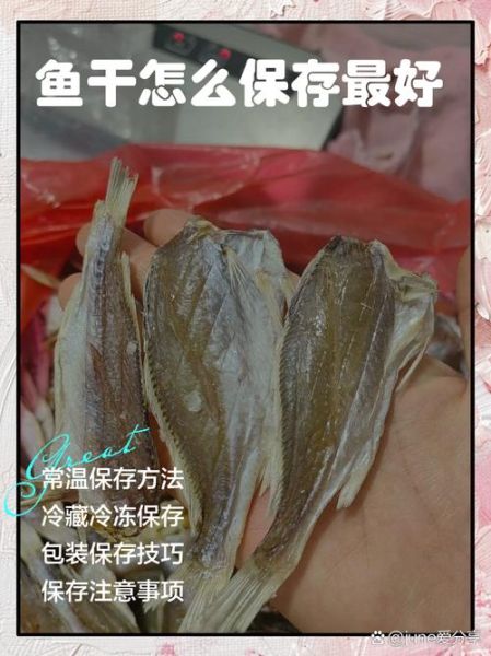 鱼干怎么保存不变质_鱼干可以冷冻吗-第1张图片-山城妙识