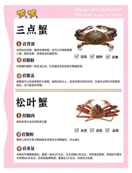 螃蟹图片高清_如何挑选高清螃蟹图片-第1张图片-山城妙识