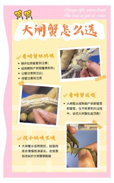 螃蟹图片高清_如何挑选高清螃蟹图片-第3张图片-山城妙识
