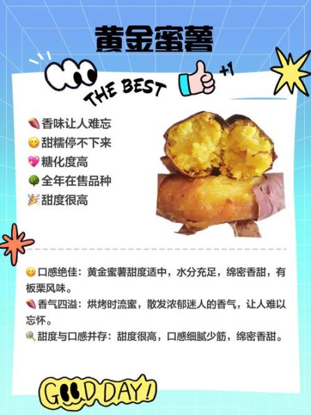 全国最好吃的红薯排名_哪里产的红薯最甜-第1张图片-山城妙识 全国最好吃的红薯排名_哪里产的红薯最甜-第1张图片-山城妙识