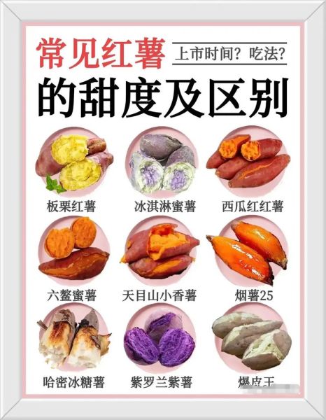 全国最好吃的红薯排名_哪里产的红薯最甜-第2张图片-山城妙识 全国最好吃的红薯排名_哪里产的红薯最甜-第2张图片-山城妙识