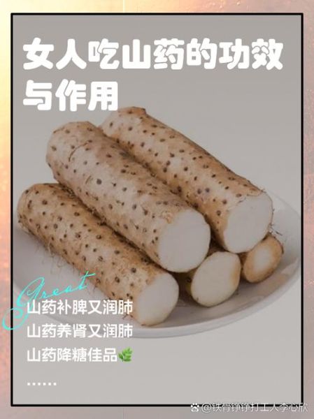 女人吃山药有哪些好处_山药对女性的功效与作用-第1张图片-山城妙识