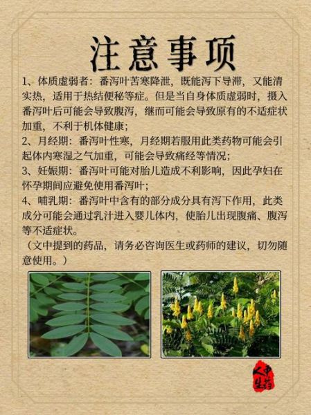 番泻叶可以减肥吗_番泻叶减肥副作用-第2张图片-山城妙识