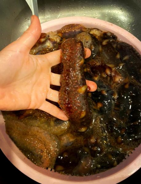 鲜海参怎么处理才能吃_鲜海参去内脏步骤-第2张图片-山城妙识