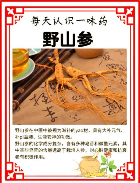 山参的功效与作用及食用方法_怎么吃效果最好-第1张图片-山城妙识
