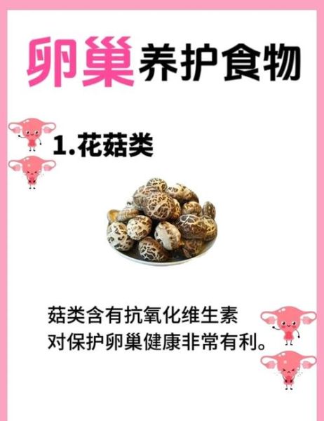 延缓卵巢衰老的最好方法_女性保养卵巢吃什么好-第3张图片-山城妙识