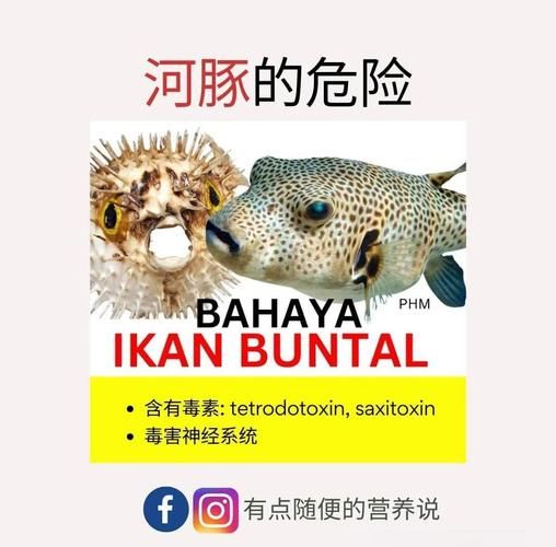 河豚毒素是什么_河豚毒素中毒怎么办-第1张图片-山城妙识 河豚毒素是什么_河豚毒素中毒怎么办-第1张图片-山城妙识