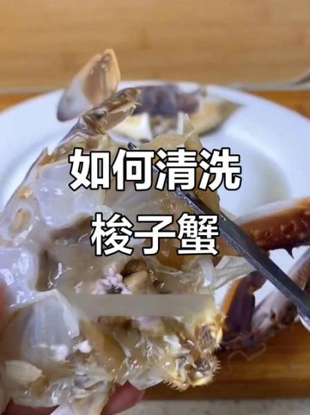 梭子蟹怎么清洗_梭子蟹清洗步骤-第3张图片-山城妙识