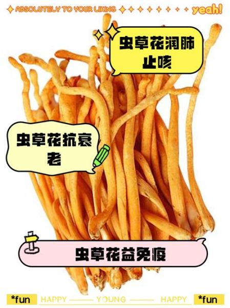虫草花怎么吃最好_虫草花有什么功效-第2张图片-山城妙识