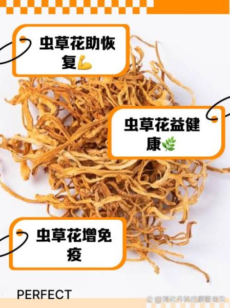 虫草花怎么吃最好_虫草花有什么功效-第1张图片-山城妙识