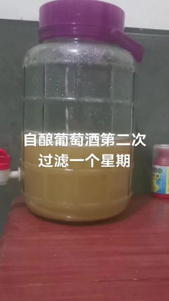 自酿葡萄酒发酵时间_自酿葡萄酒发酵温度-第3张图片-山城妙识