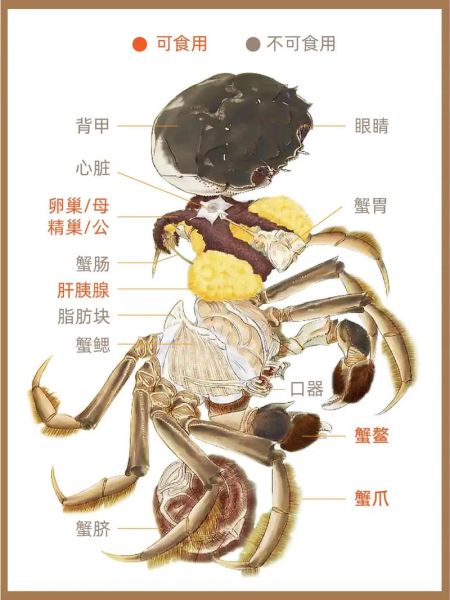 大闸蟹吃了会上火吗_大闸蟹营养价值与禁忌-第1张图片-山城妙识 大闸蟹吃了会上火吗_大闸蟹营养价值与禁忌-第1张图片-山城妙识