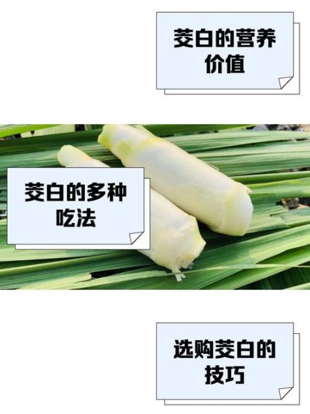 茭白有什么营养价值_茭白怎么吃最健康-第2张图片-山城妙识 茭白有什么营养价值_茭白怎么吃最健康-第2张图片-山城妙识