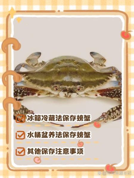 大闸蟹怎么保存_大闸蟹放冰箱能活几天-第1张图片-山城妙识 大闸蟹怎么保存_大闸蟹放冰箱能活几天-第1张图片-山城妙识