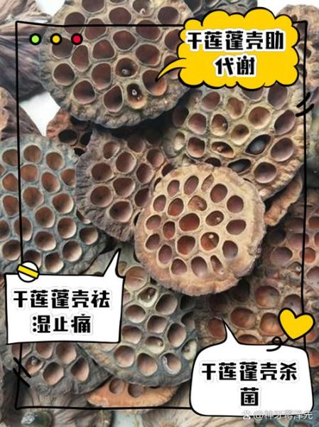 干莲蓬的功效与作用_干莲蓬的禁忌有哪些-第2张图片-山城妙识