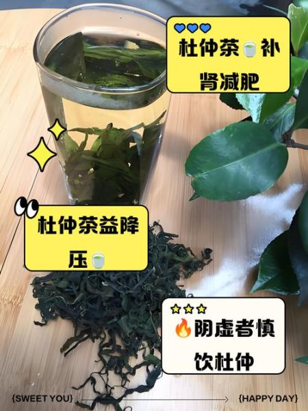 什么人不能喝杜仲茶_杜仲茶禁忌人群-第2张图片-山城妙识