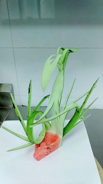 西瓜皮雕刻图片怎么做_西瓜皮雕刻图片教程-第3张图片-山城妙识