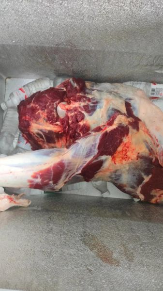 马肉多少钱一斤_马肉价格行情-第2张图片-山城妙识