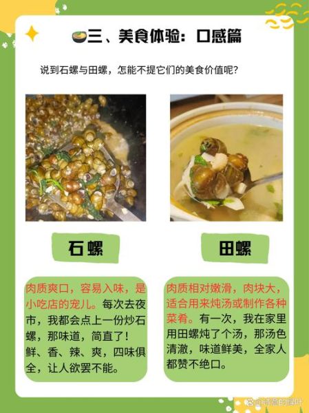 螺图片大全_如何区分常见淡水螺-第3张图片-山城妙识