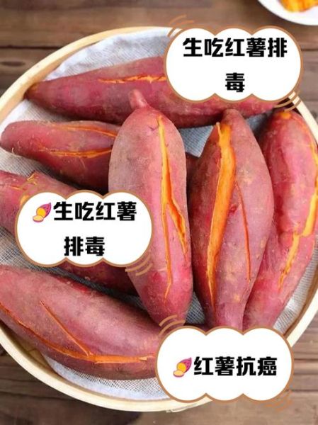 山芋的功效与作用_糖尿病人能吃吗-第1张图片-山城妙识 山芋的功效与作用_糖尿病人能吃吗-第1张图片-山城妙识