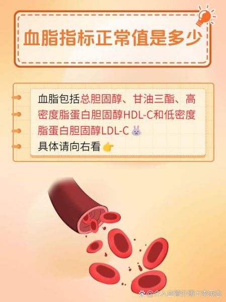 血脂正常值最新标准2024_甘油三酯和胆固醇指标怎么看-第3张图片-山城妙识 血脂正常值最新标准2024_甘油三酯和胆固醇指标怎么看-第3张图片-山城妙识
