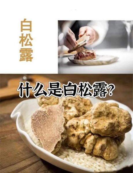 白松露菌多少钱一斤_白松露菌价格影响因素-第3张图片-山城妙识