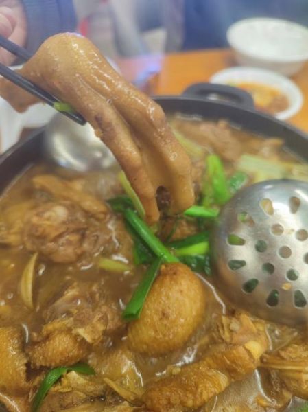 鹅肉清炖怎么做_清炖鹅肉最正宗的做法-第3张图片-山城妙识