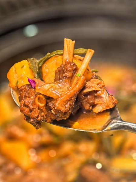 鹅肉清炖怎么做_清炖鹅肉最正宗的做法-第1张图片-山城妙识