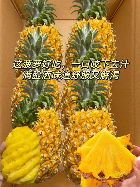 菠萝手机广告视频哪里看_菠萝手机广告视频亮点-第2张图片-山城妙识