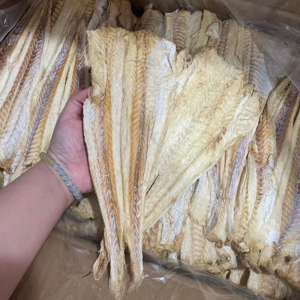 活柴鱼怎么保存_活柴鱼多少钱一斤-第1张图片-山城妙识