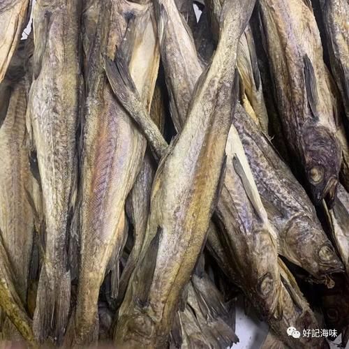 活柴鱼怎么保存_活柴鱼多少钱一斤-第3张图片-山城妙识