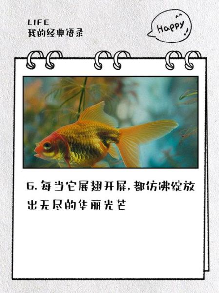 孔雀开屏像什么比喻句_孔雀开屏的比喻句有哪些-第1张图片-山城妙识