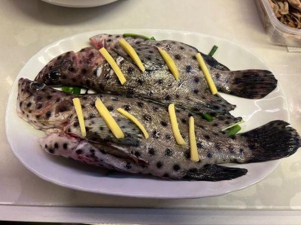 老鼠斑多少钱一斤_老鼠斑怎么做好吃-第3张图片-山城妙识