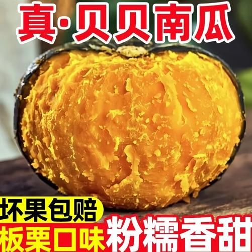 小南瓜怎么保存_小南瓜能放多久-第3张图片-山城妙识