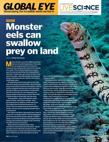 how_to_store_watermelons_plural_what_are_watermelons_plural-第2张图片-山城妙识 how_to_store_watermelons_plural_what_are_watermelons_plural-第2张图片-山城妙识