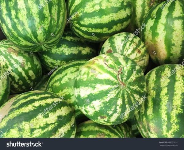 how_to_store_watermelons_plural_what_are_watermelons_plural-第3张图片-山城妙识 how_to_store_watermelons_plural_what_are_watermelons_plural-第3张图片-山城妙识