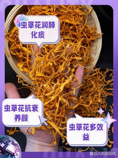 虫草的功效与作用有哪些_虫草怎么吃最有营养-第2张图片-山城妙识