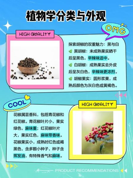 胡椒和花椒的区别_胡椒和花椒的用途-第1张图片-山城妙识 胡椒和花椒的区别_胡椒和花椒的用途-第1张图片-山城妙识