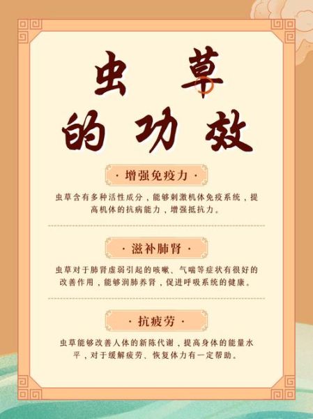 虫草的功效与作用有哪些_虫草怎么吃最有营养-第3张图片-山城妙识