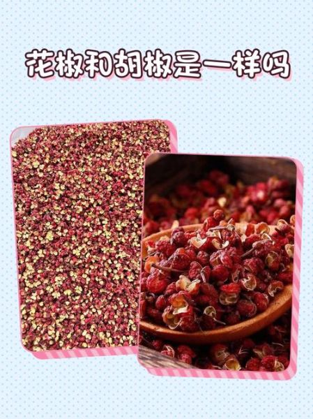 胡椒和花椒的区别_胡椒和花椒的用途-第3张图片-山城妙识 胡椒和花椒的区别_胡椒和花椒的用途-第3张图片-山城妙识