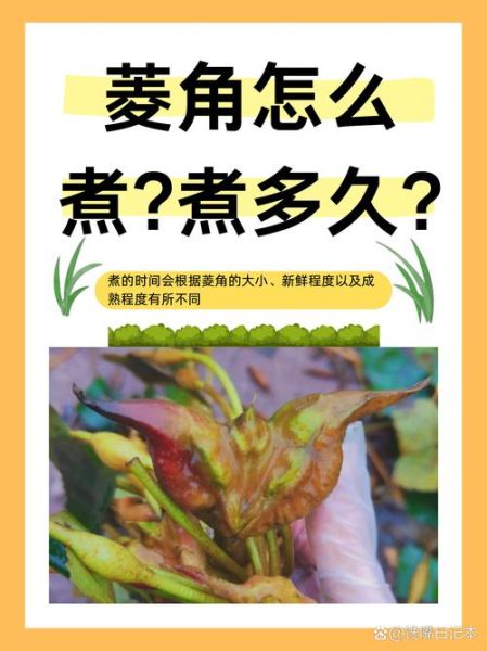 菱角怎么煮不黑_菱角煮多久不变色-第1张图片-山城妙识