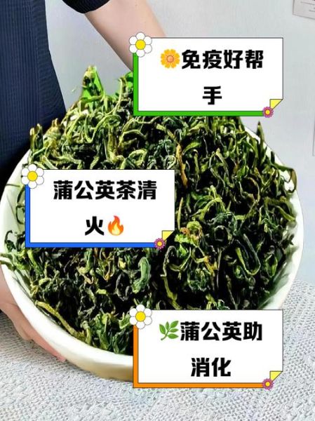 长期喝蒲公英茶的作用_蒲公英茶能天天喝吗-第2张图片-山城妙识