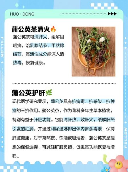 长期喝蒲公英茶的作用_蒲公英茶能天天喝吗-第3张图片-山城妙识