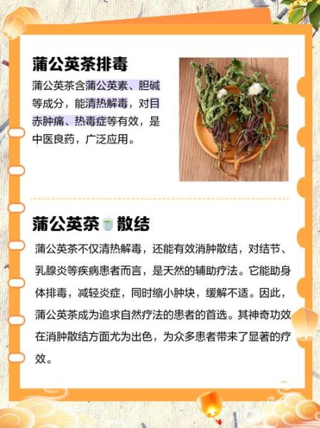 长期喝蒲公英茶的作用_蒲公英茶能天天喝吗-第1张图片-山城妙识