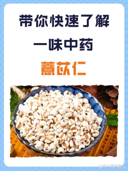 去湿气用大薏米还是小薏米_哪个效果更好-第2张图片-山城妙识