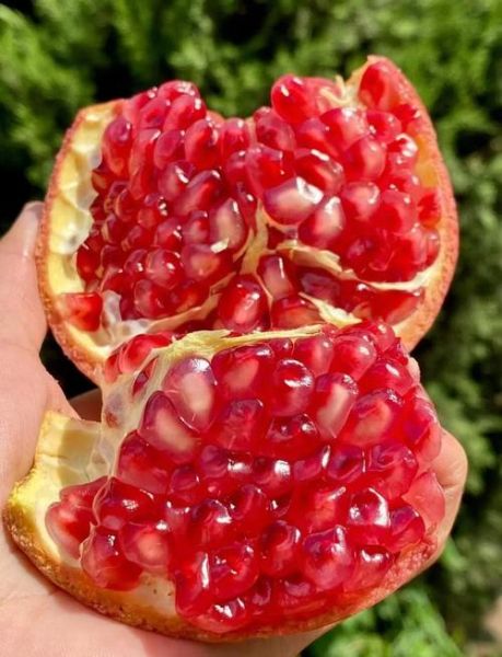 石榴怎么吃_石榴籽能不能吃-第3张图片-山城妙识 石榴怎么吃_石榴籽能不能吃-第3张图片-山城妙识