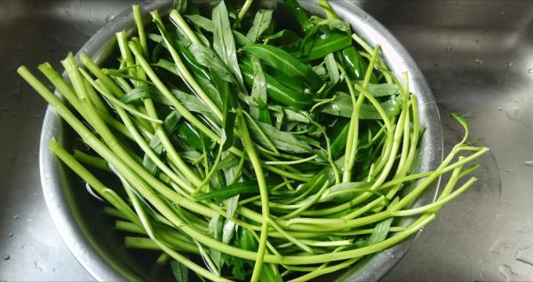 空心菜怎么炒不发黑_炒空心菜不变黑的秘诀-第3张图片-山城妙识