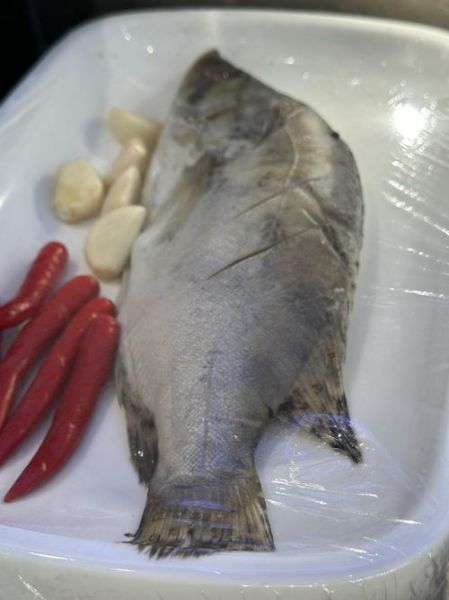 臭桂鱼和臭鳜鱼有什么区别_臭鳜鱼是不是桂鱼-第3张图片-山城妙识