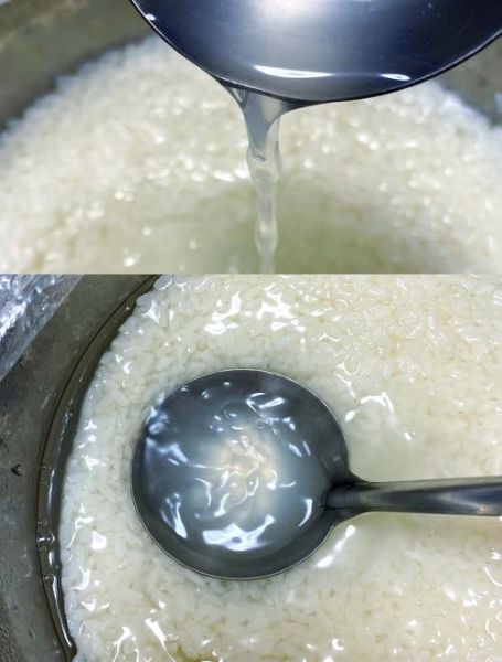 酸奶机做甜酒酿的做法窍门_甜酒酿失败原因-第1张图片-山城妙识