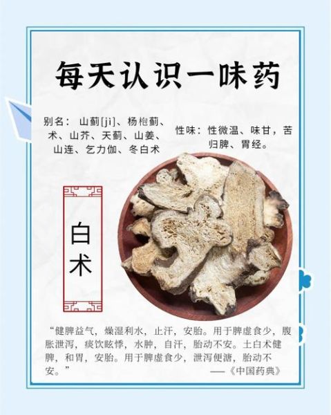 白术的功效与作用_白术的禁忌人群-第1张图片-山城妙识 白术的功效与作用_白术的禁忌人群-第1张图片-山城妙识